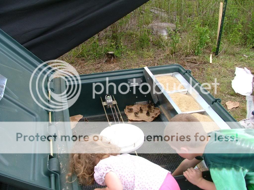 surrogator - Gun Dog Forum